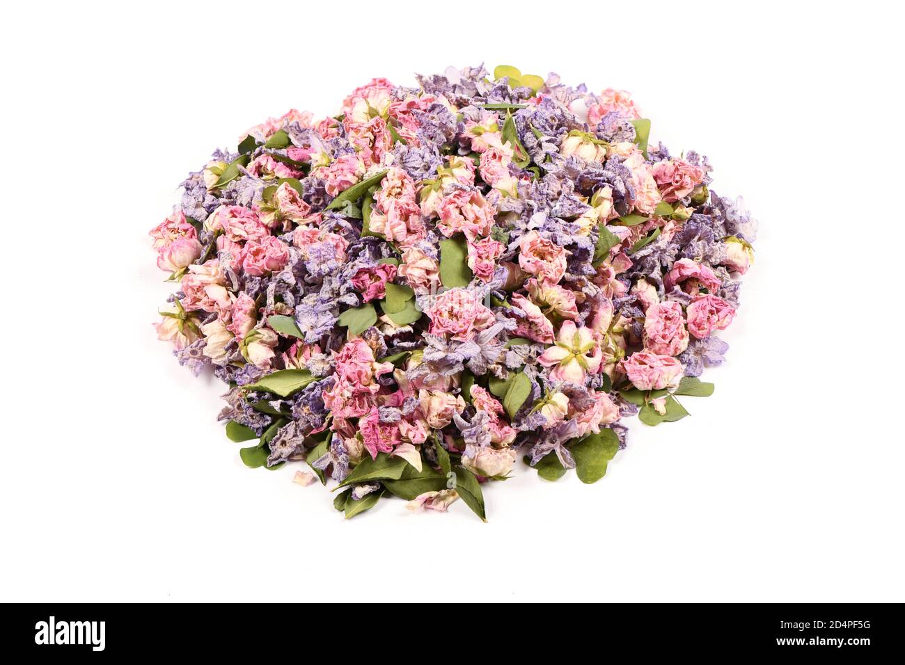 Faded pink rose flowers set out in the form of circle. Isolated on ...