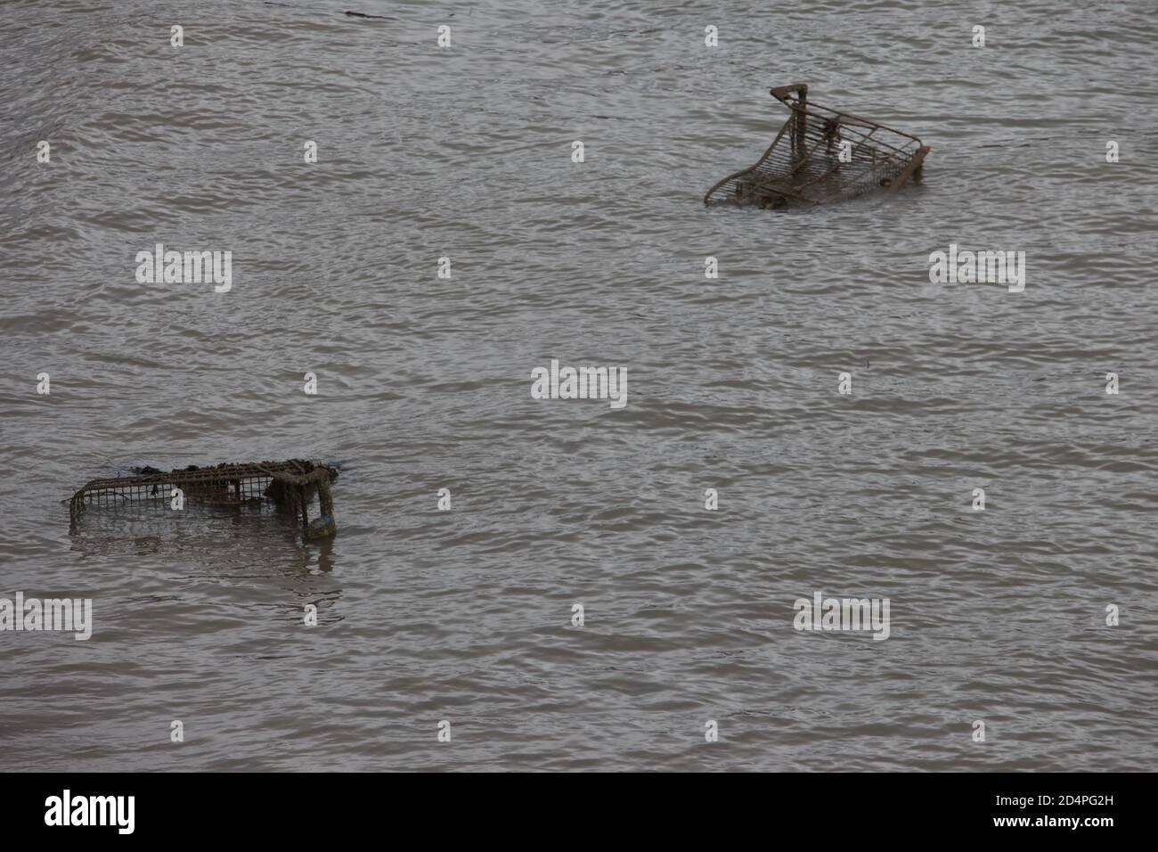 A photograph of abandoned shopping trolleys in the murky water of a ...