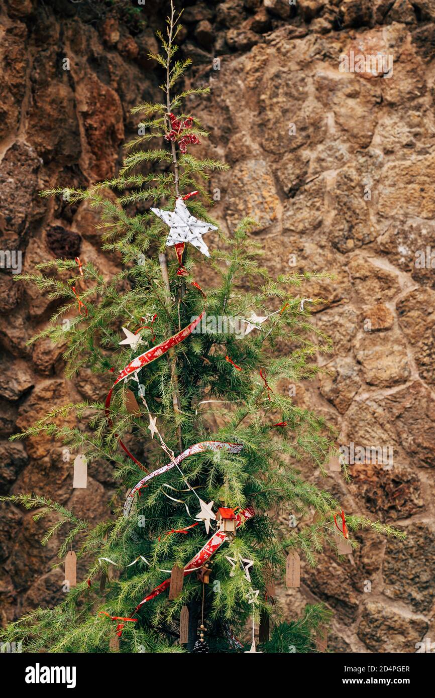 Scary ugly tree hi-res stock photography and images - Alamy