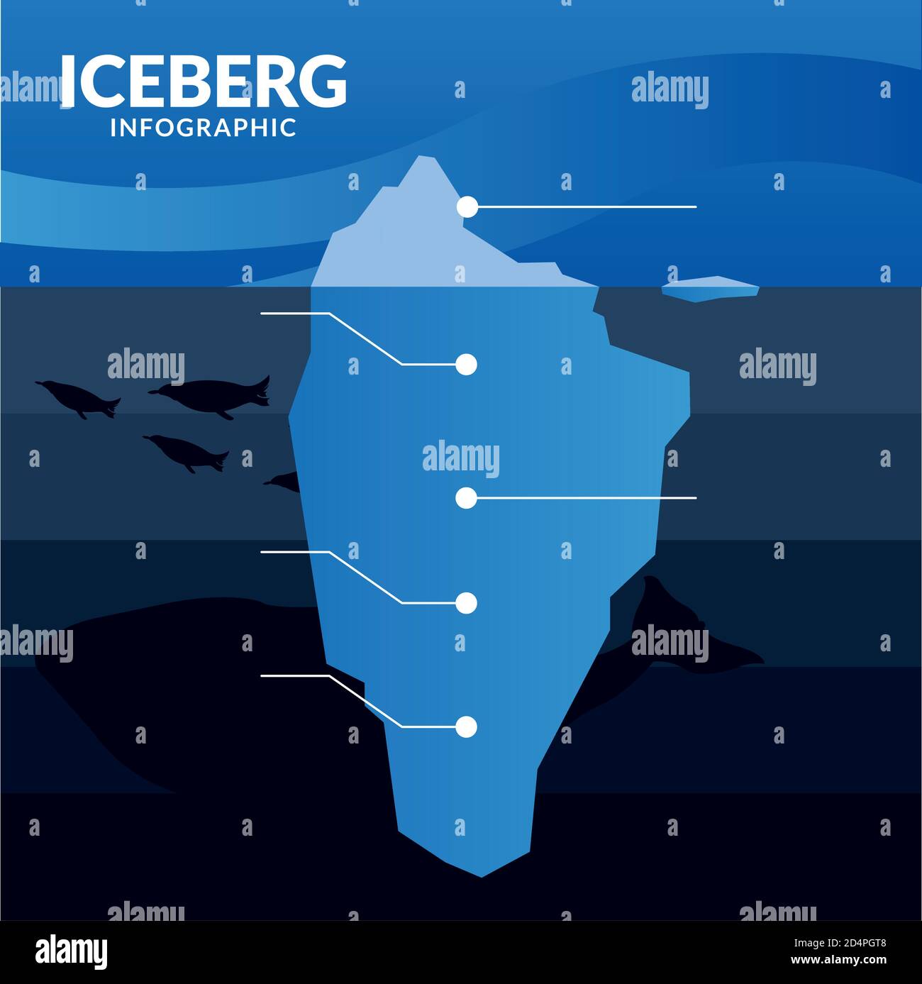 iceberg infographic with whale and penguins design, Data analysis and ...