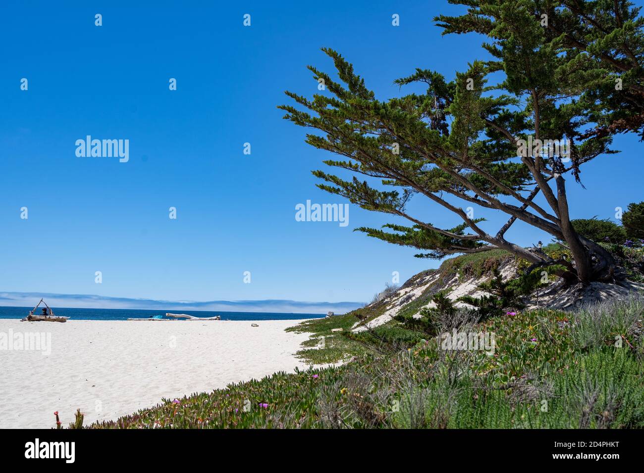 Carmel california beach hi-res stock photography and images - Alamy