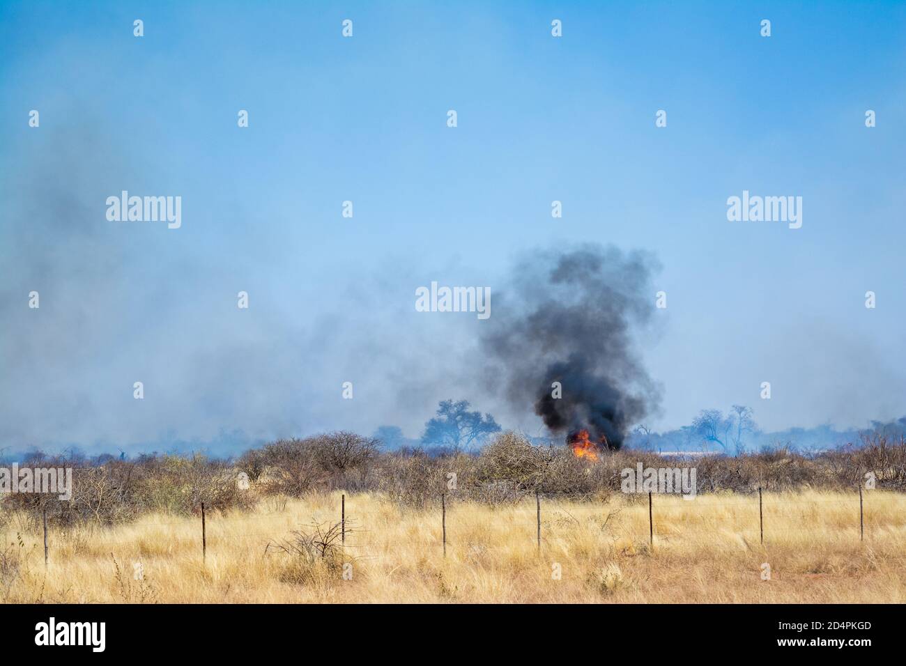 fire in a field next to to the B14 road, Namibia Stock Photo - Alamy