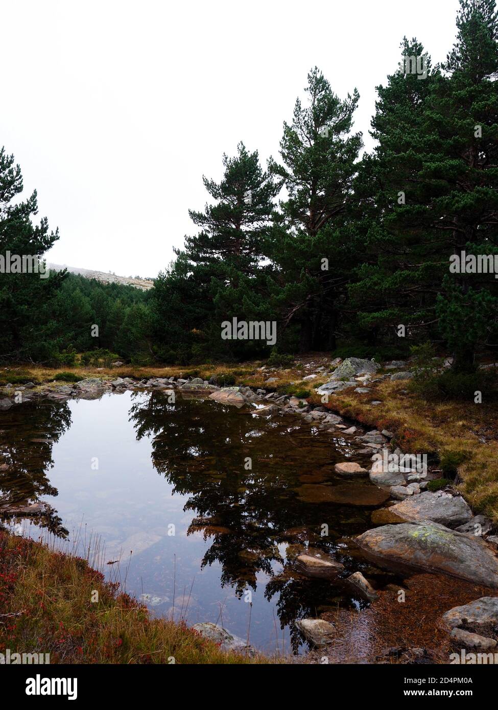 Lagunas neila hi-res stock photography and images - Alamy