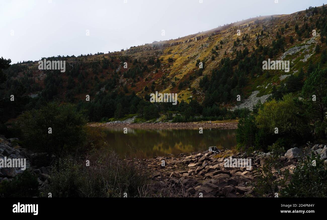 Neila hi-res stock photography and images - Alamy