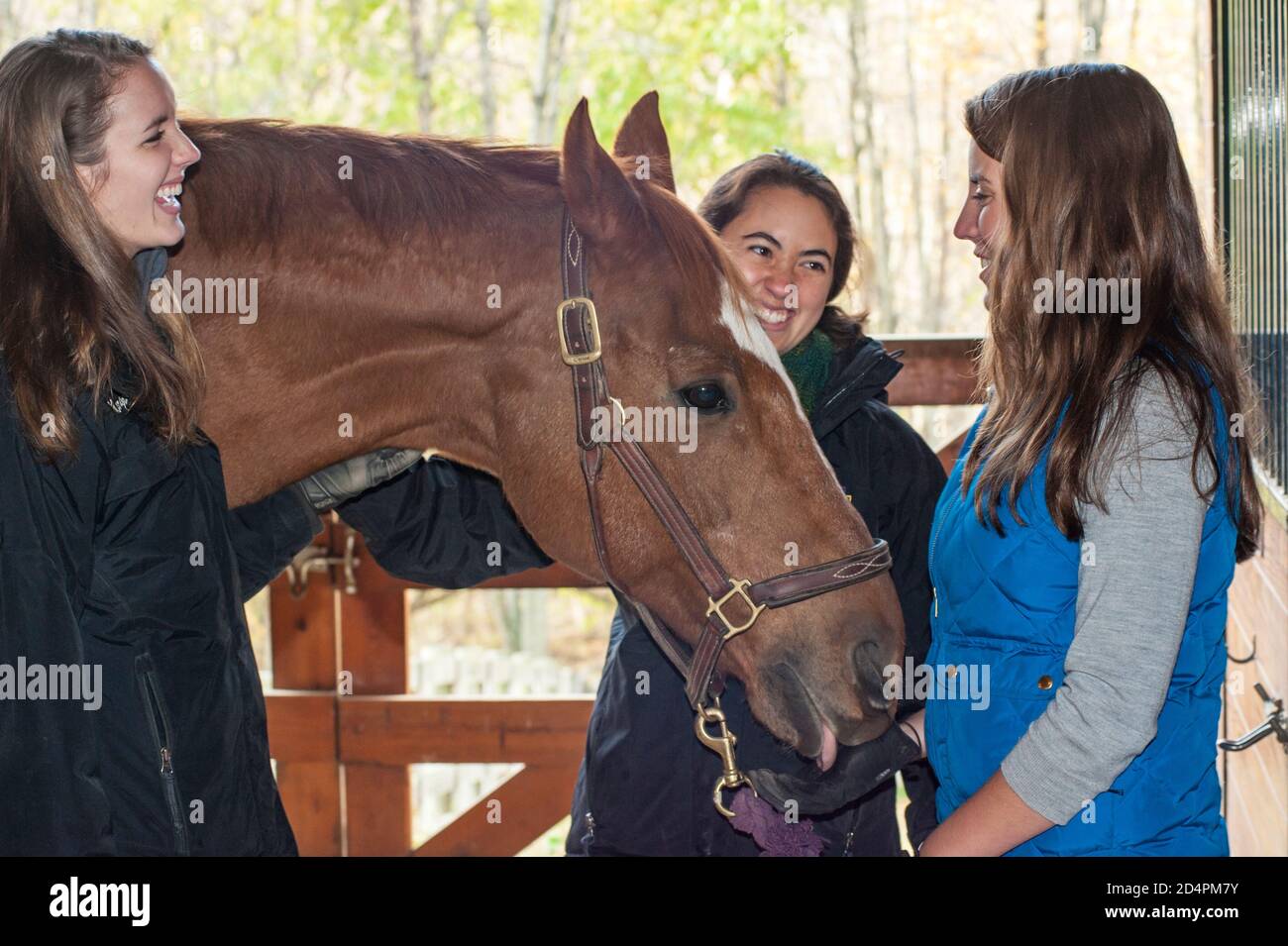 Equestrian team hi-res stock photography and images - Alamy