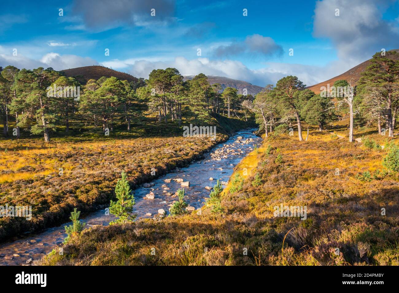 Scottish water hi-res stock photography and images - Alamy