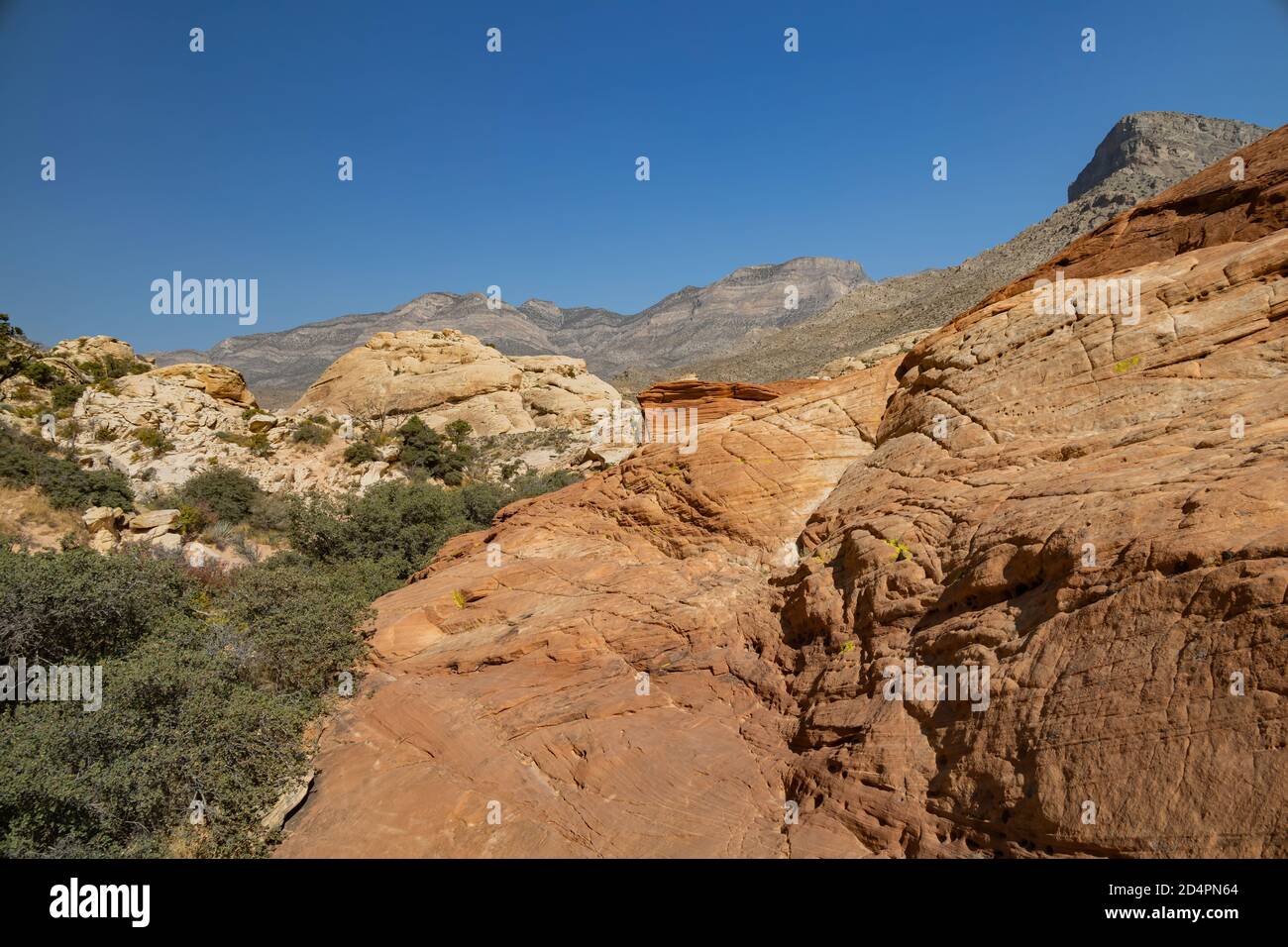 Calico tanks trail hi-res stock photography and images - Alamy