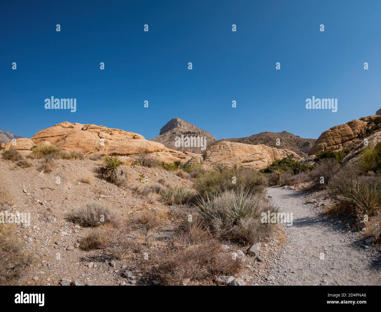Sunny view of the Calico Tanks Trail of Red Rock Canyon National ...