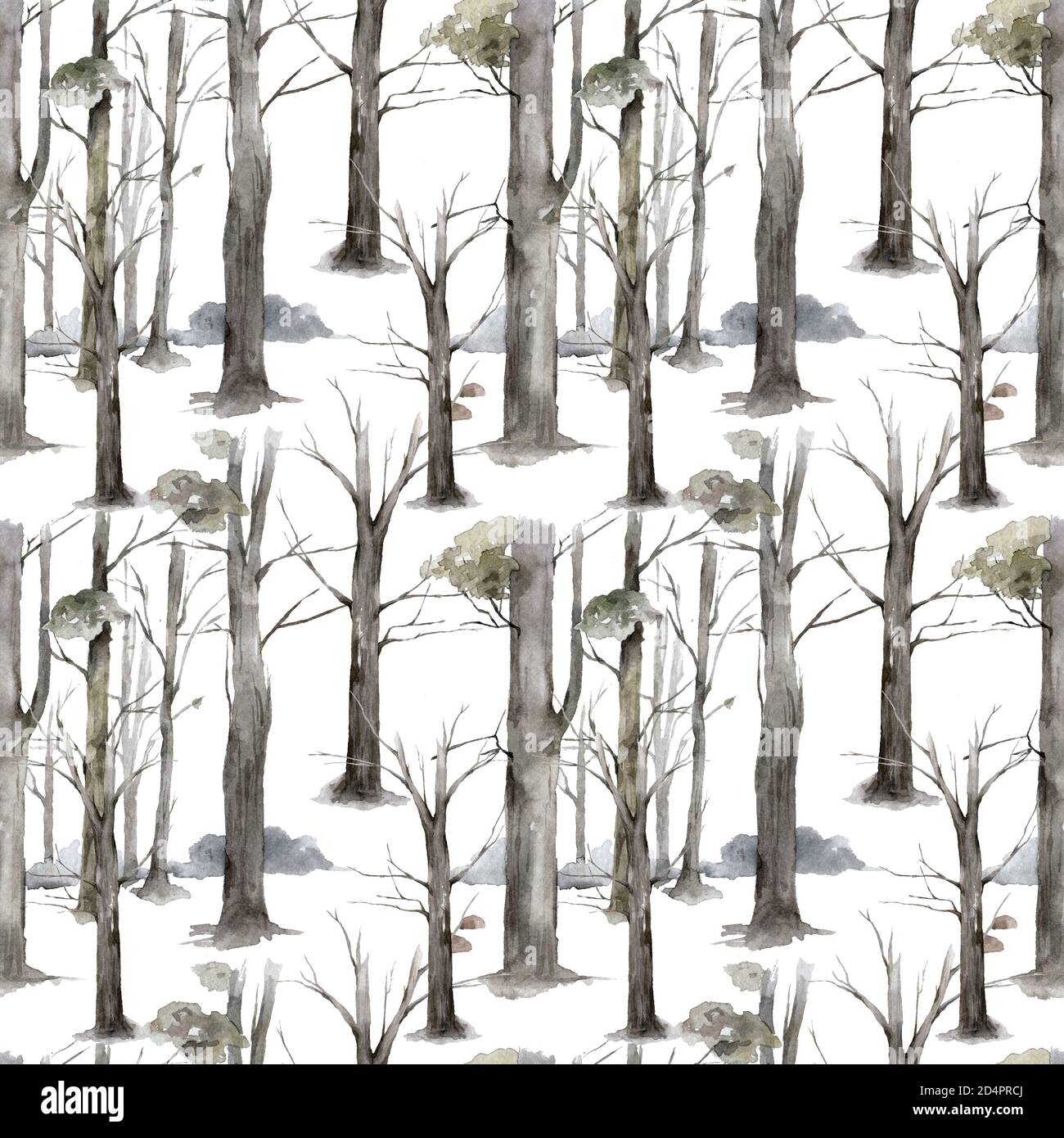 Autumn forest flat hand drawn illustrations set. Woody flora and fauna ...