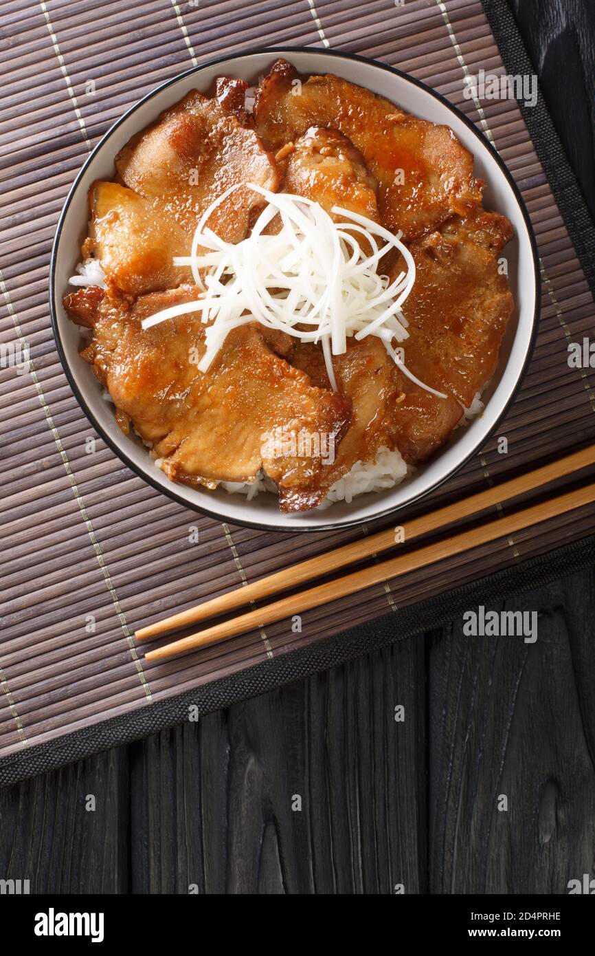Japanese Butadon pork rice bowl close-up in a bowl on the table ...