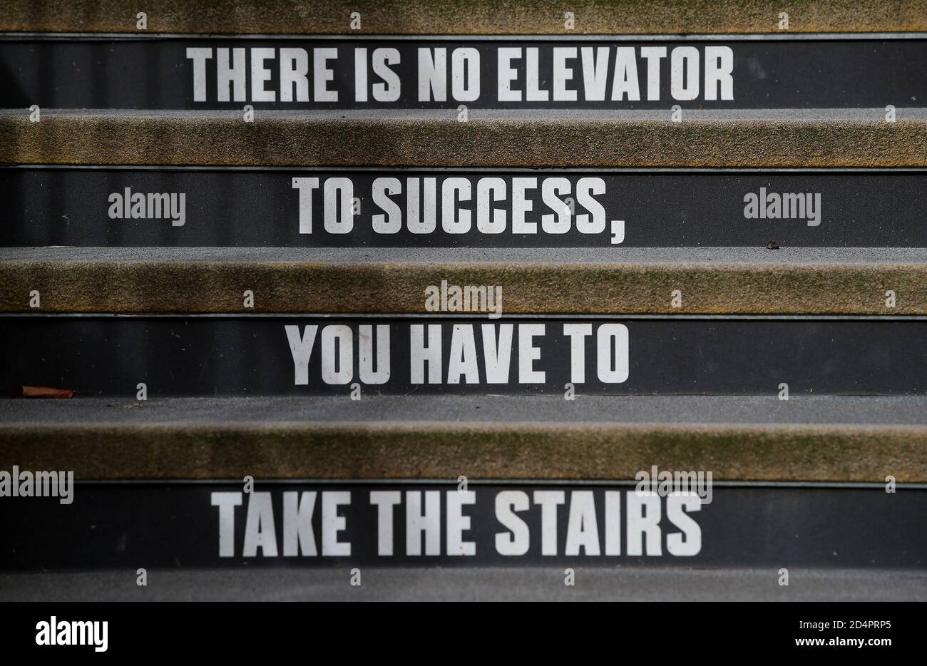 Use Stairs Quotes The Elevator To Success Is Out Of Order. You'll Have