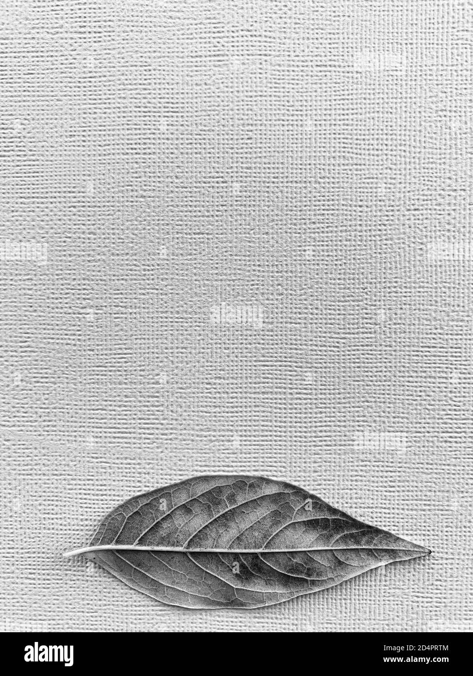 Foliage border brown Black and White Stock Photos & Images - Alamy