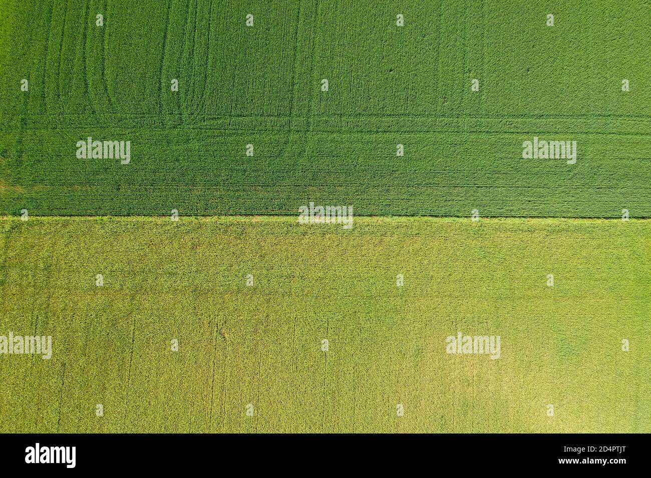 Agricultural field viewed from the top Stock Photo - Alamy