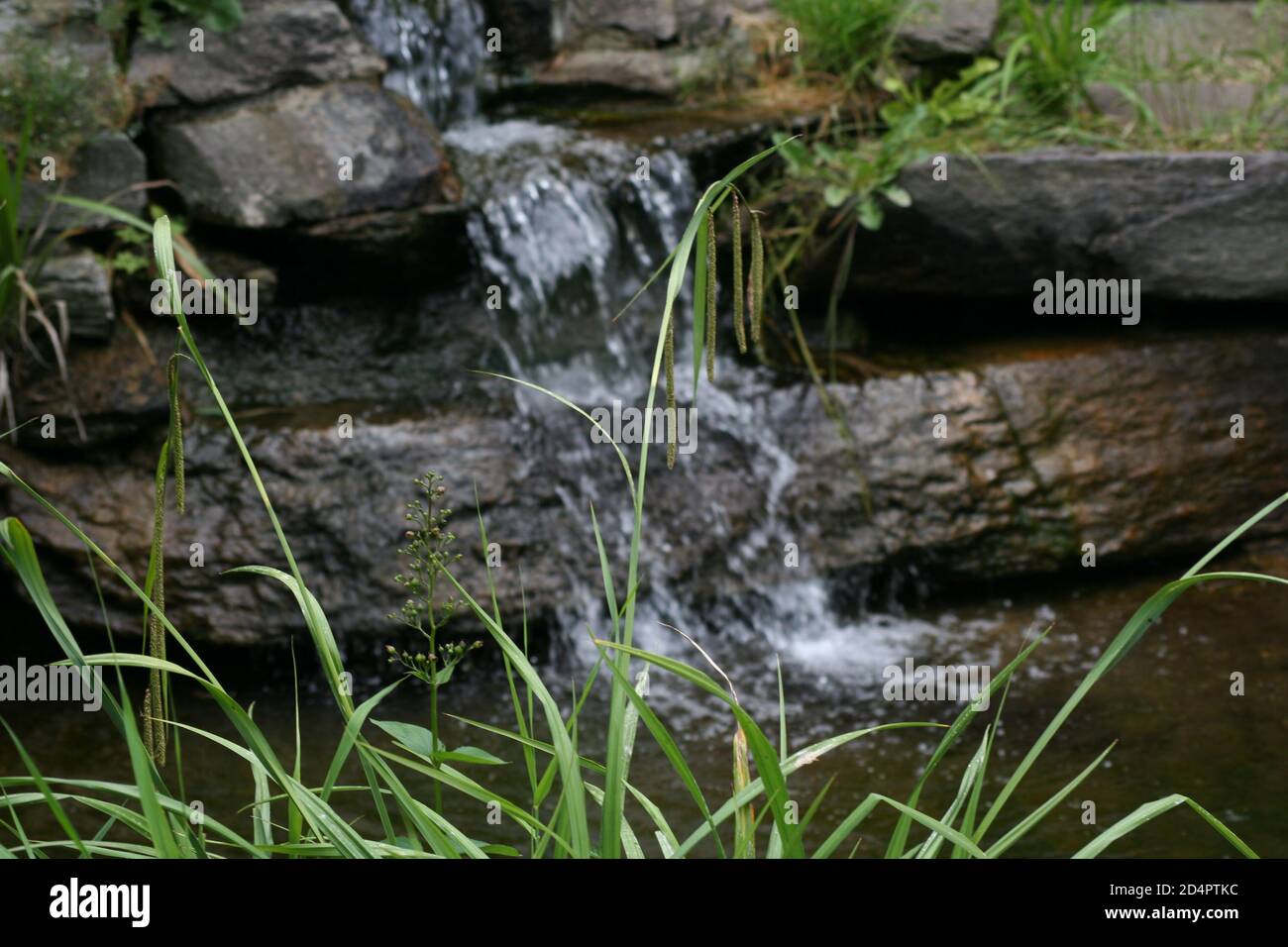 Water running down stones hi-res stock photography and images - Alamy