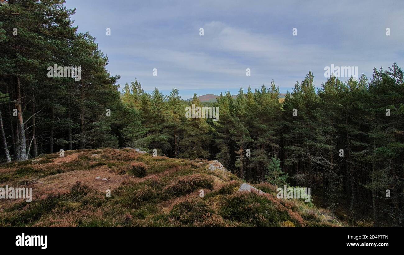 Royal Deeside, Scotland Stock Photo - Alamy