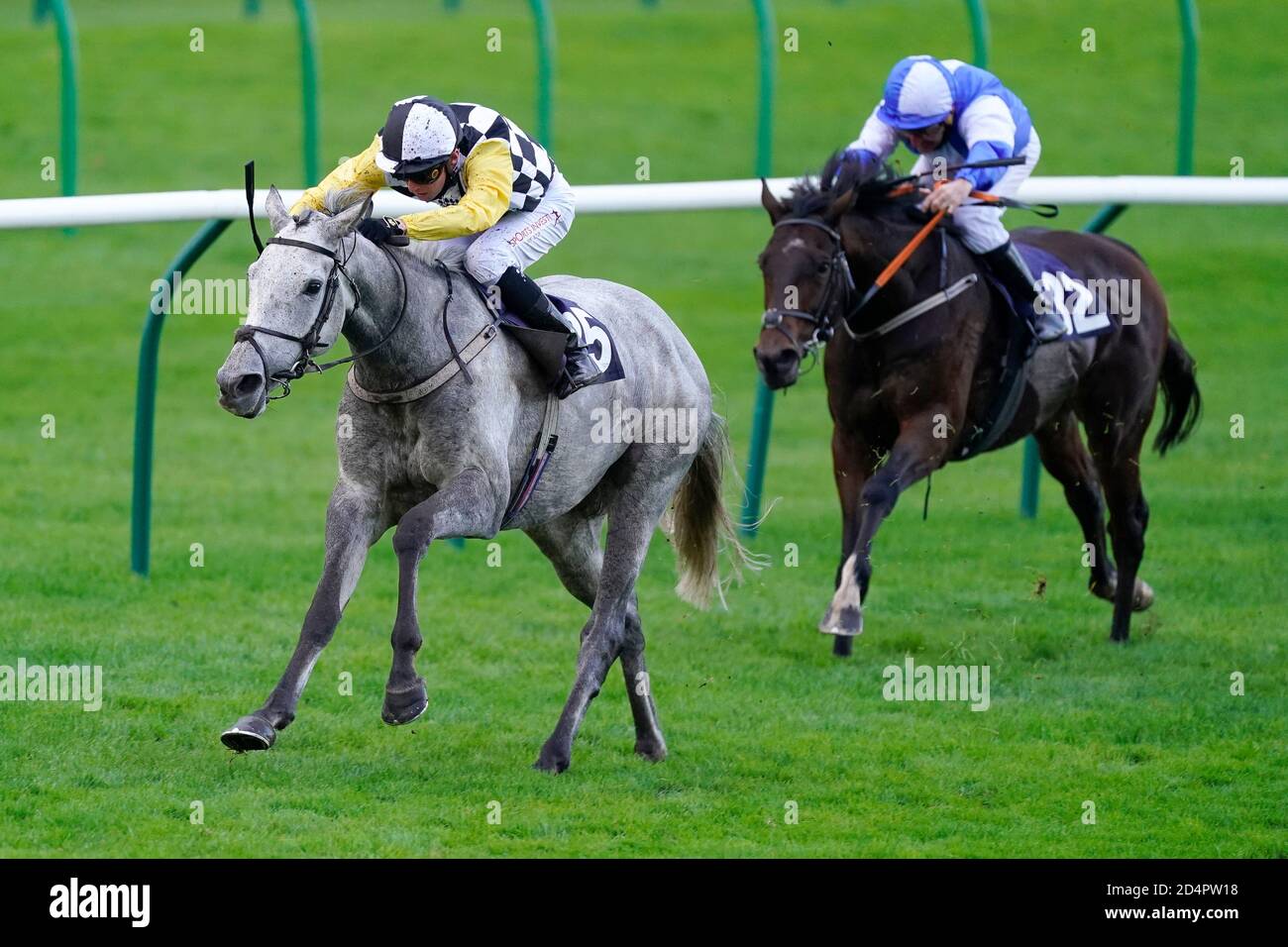 10th international horse hi-res stock photography and images - Alamy