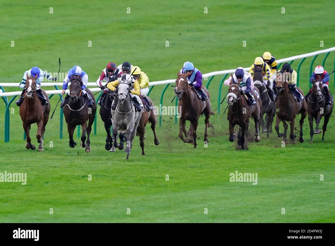 Racing international cesarewitch handicap newmarket racecourse hi-res ...