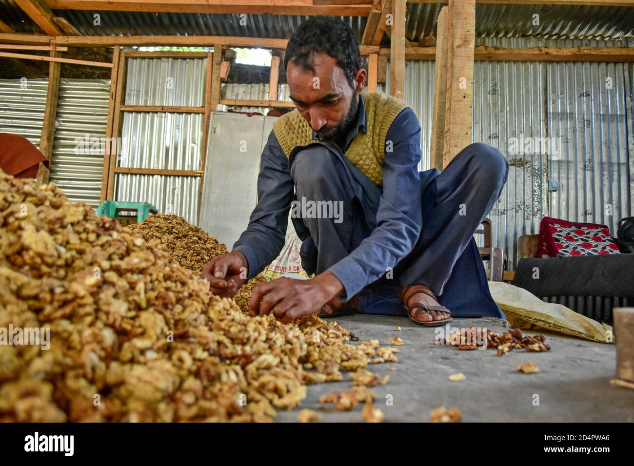 Walnut sorting hi-res stock photography and images - Alamy