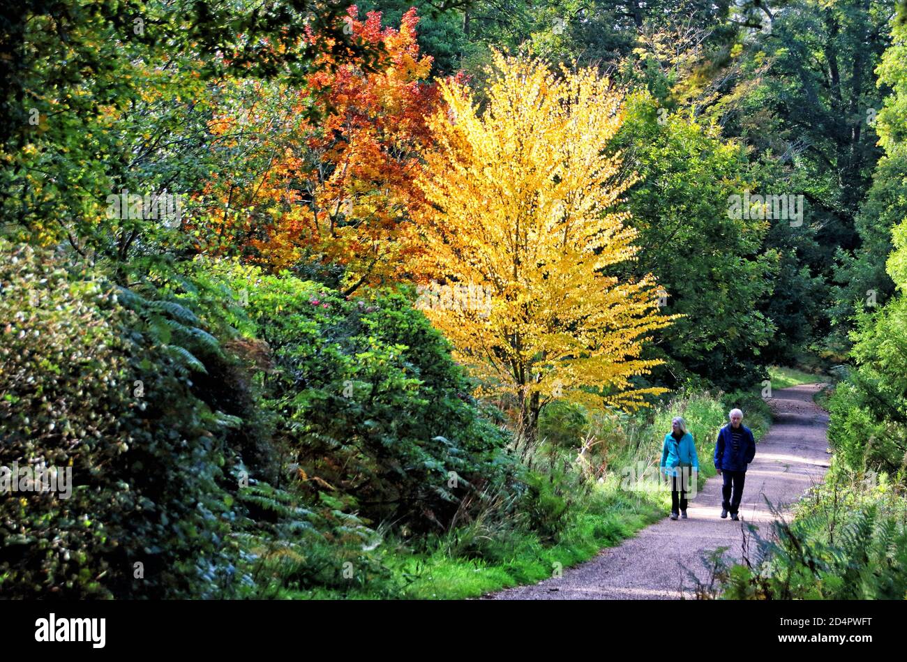 Crawley, UK. 07th Oct, 2020. A couple walk along a pathway past the ...