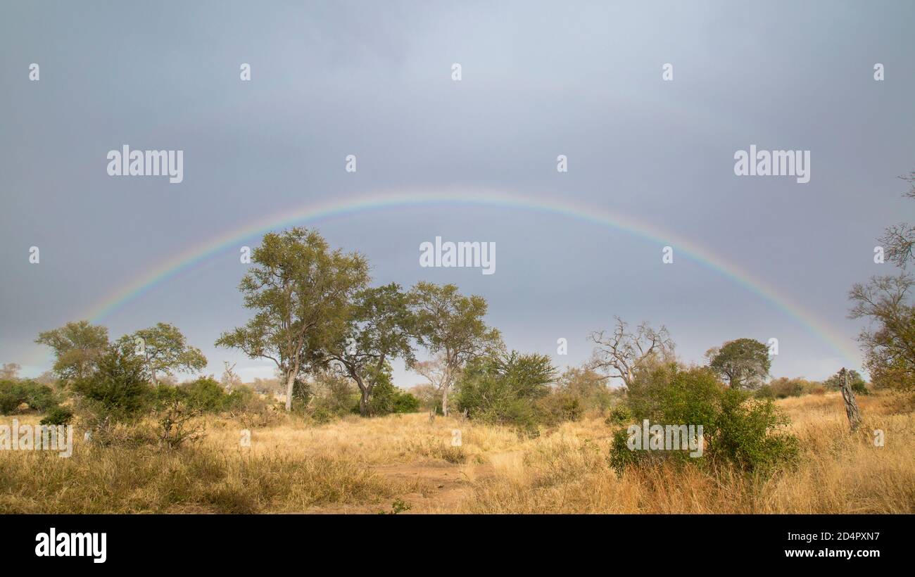 Scenic bushveld view of a complete rainbow Stock Photo - Alamy