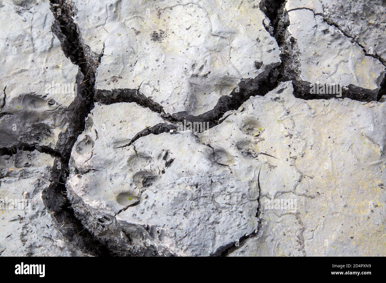 Fissured clay texture hi-res stock photography and images - Alamy