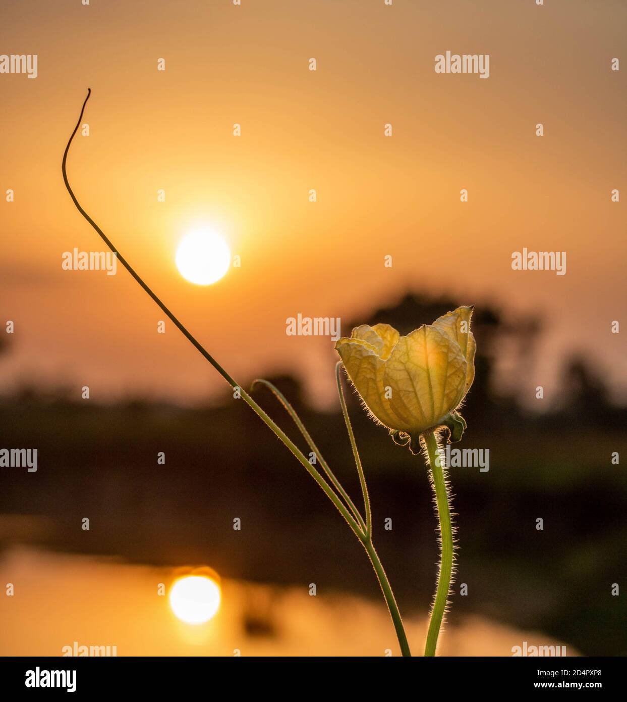 Natural Beauty and scen Stock Photo - Alamy