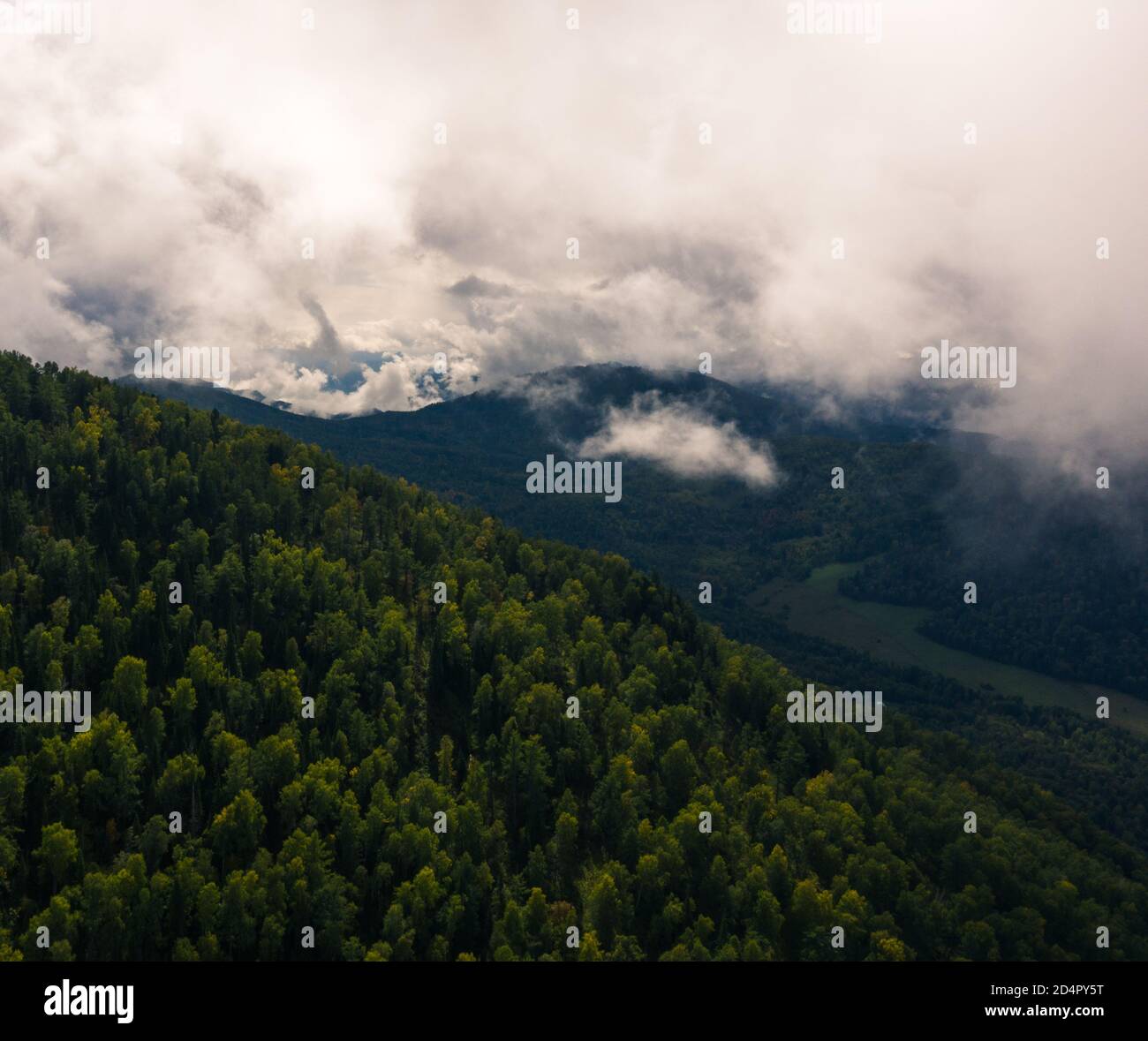 Aerial view of the forest with cloudy sky in the background Stock Photo ...
