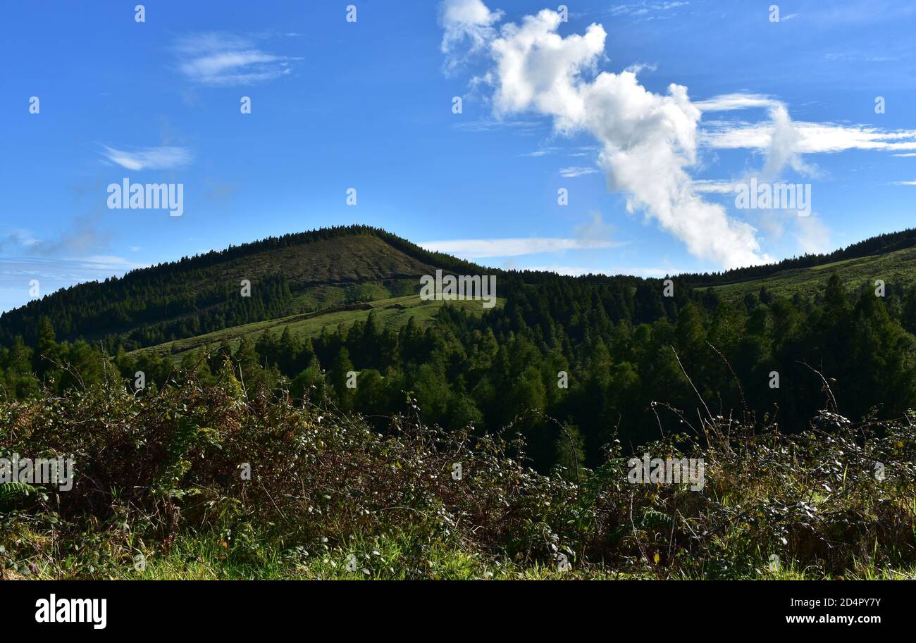 Stunning azores landscape farm hi-res stock photography and images - Alamy