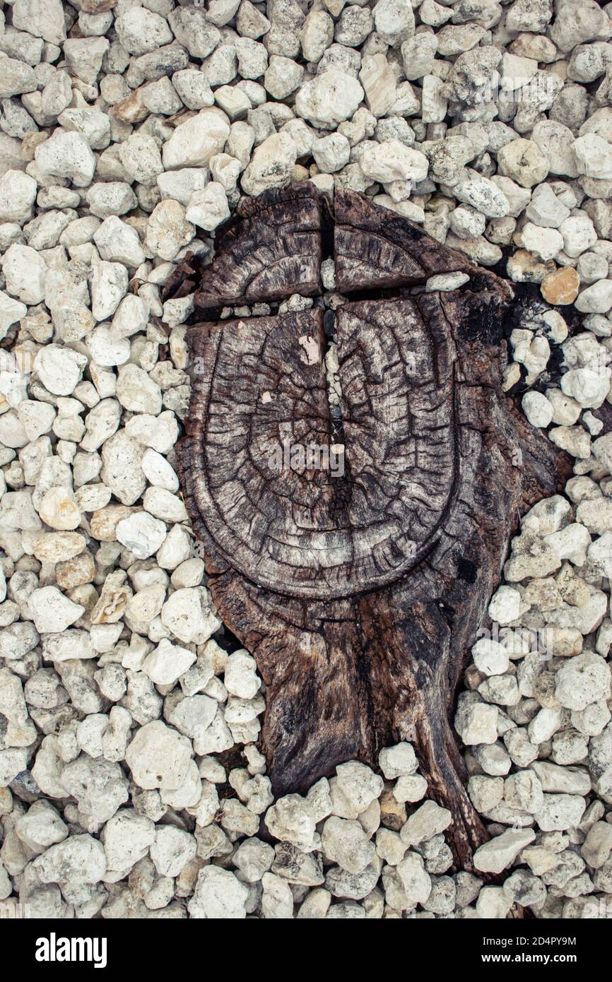 tree trunk with a cross in the middle Stock Photo - Alamy