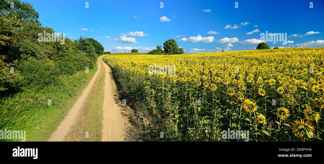 Field path through cultural landscape hi-res stock photography and ...