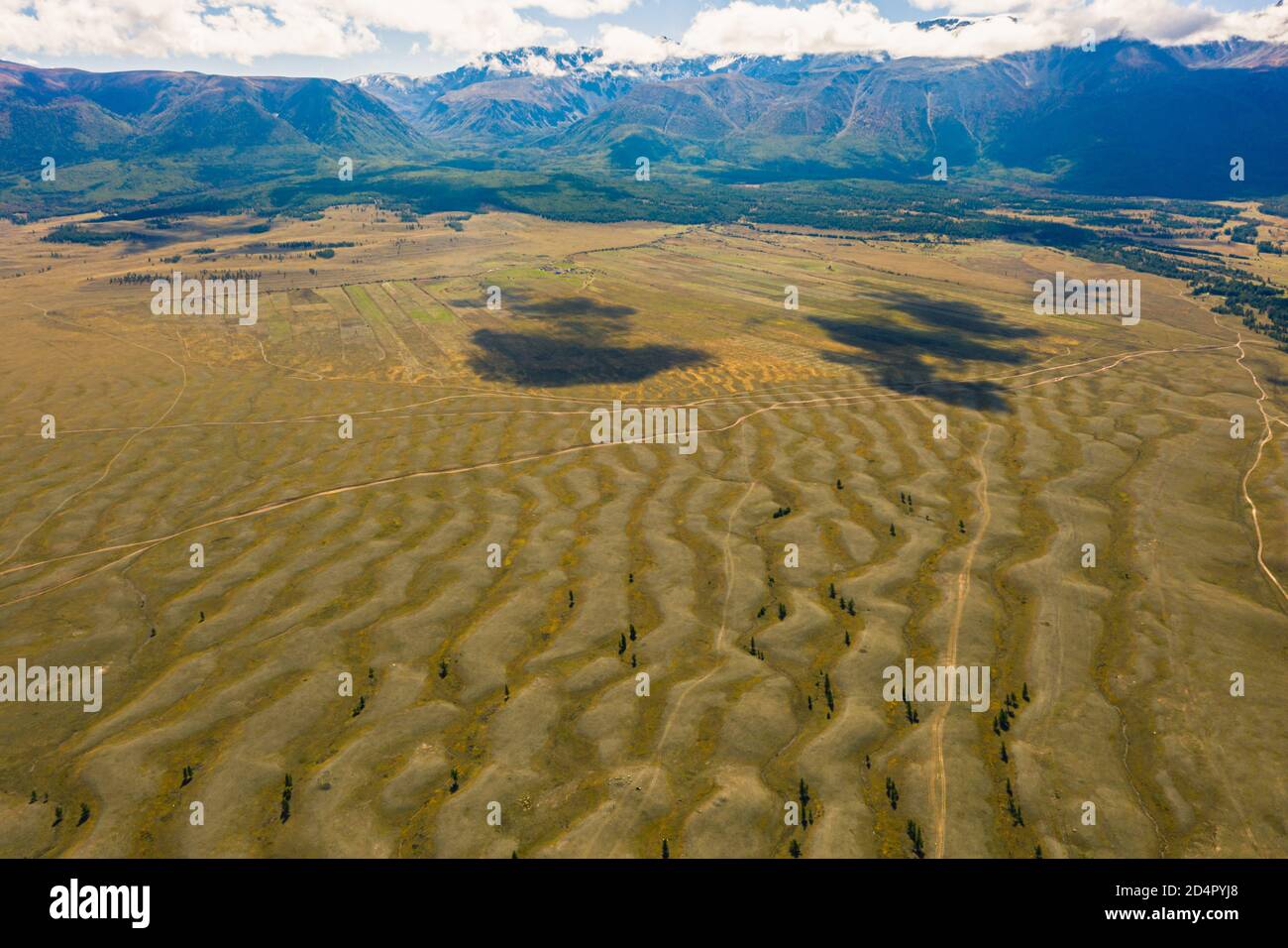Aerial view of desert and green bushes Stock Photo - Alamy