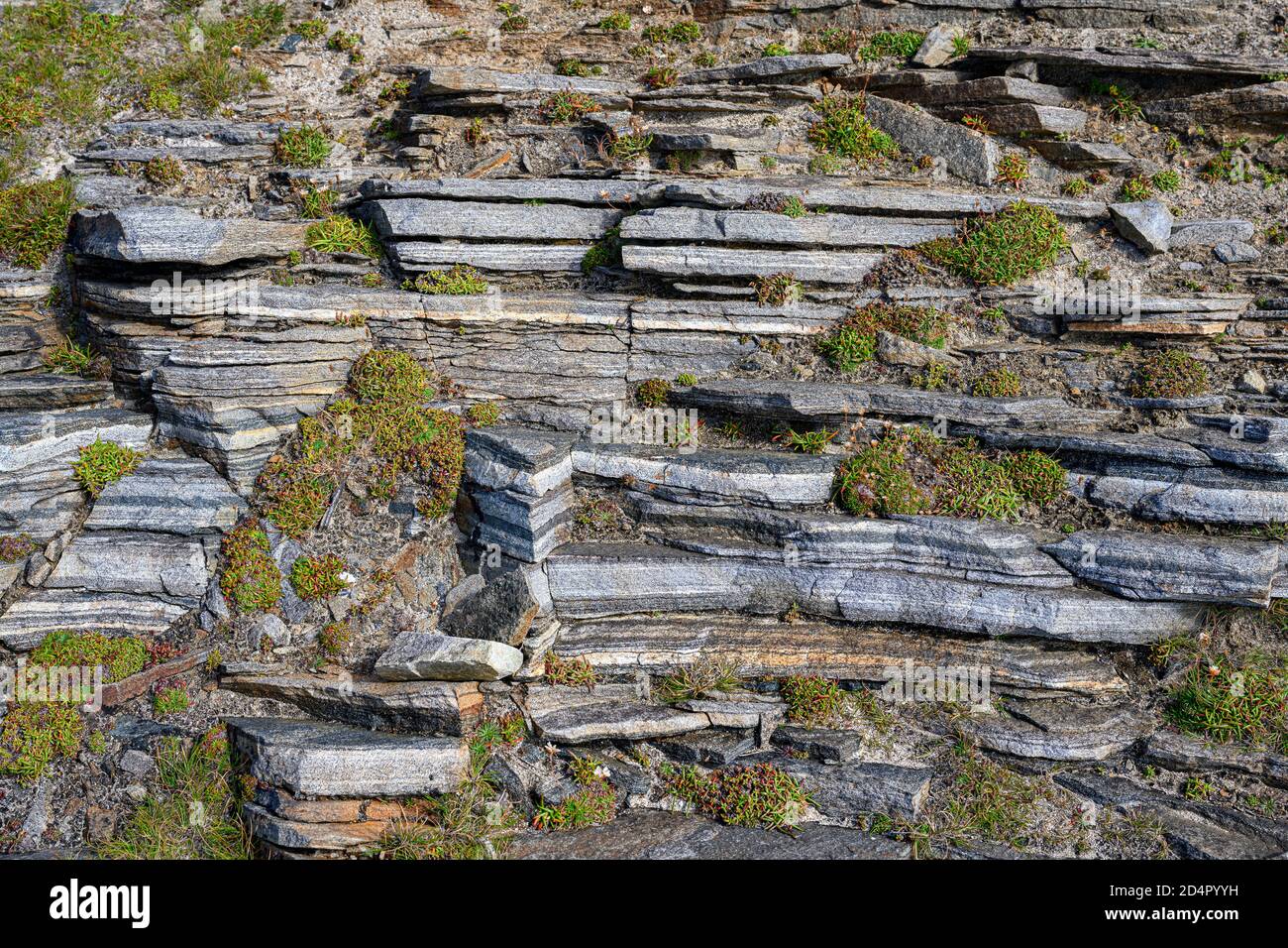 Layered sandstone on the coast of the Isle of Lewis, Outer Hebrides ...