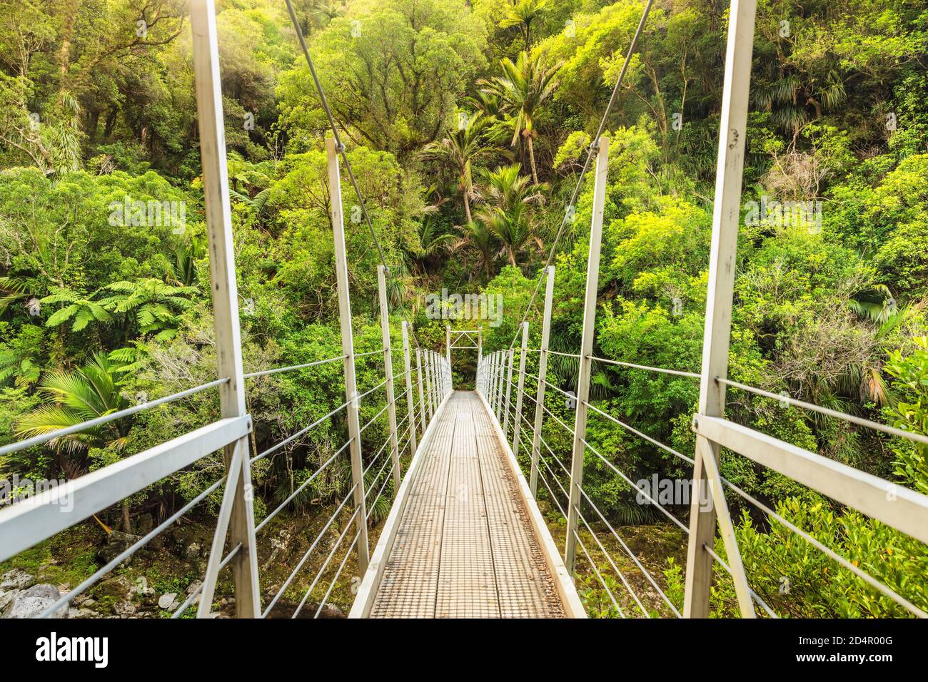 Suspension Bridge over the Wainui River, Oceania, Wainui Falls Track ...
