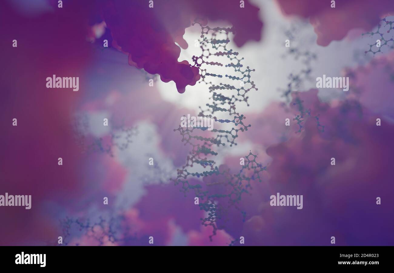 String of DNA (holding the code of life) inside a cell Stock Photo - Alamy