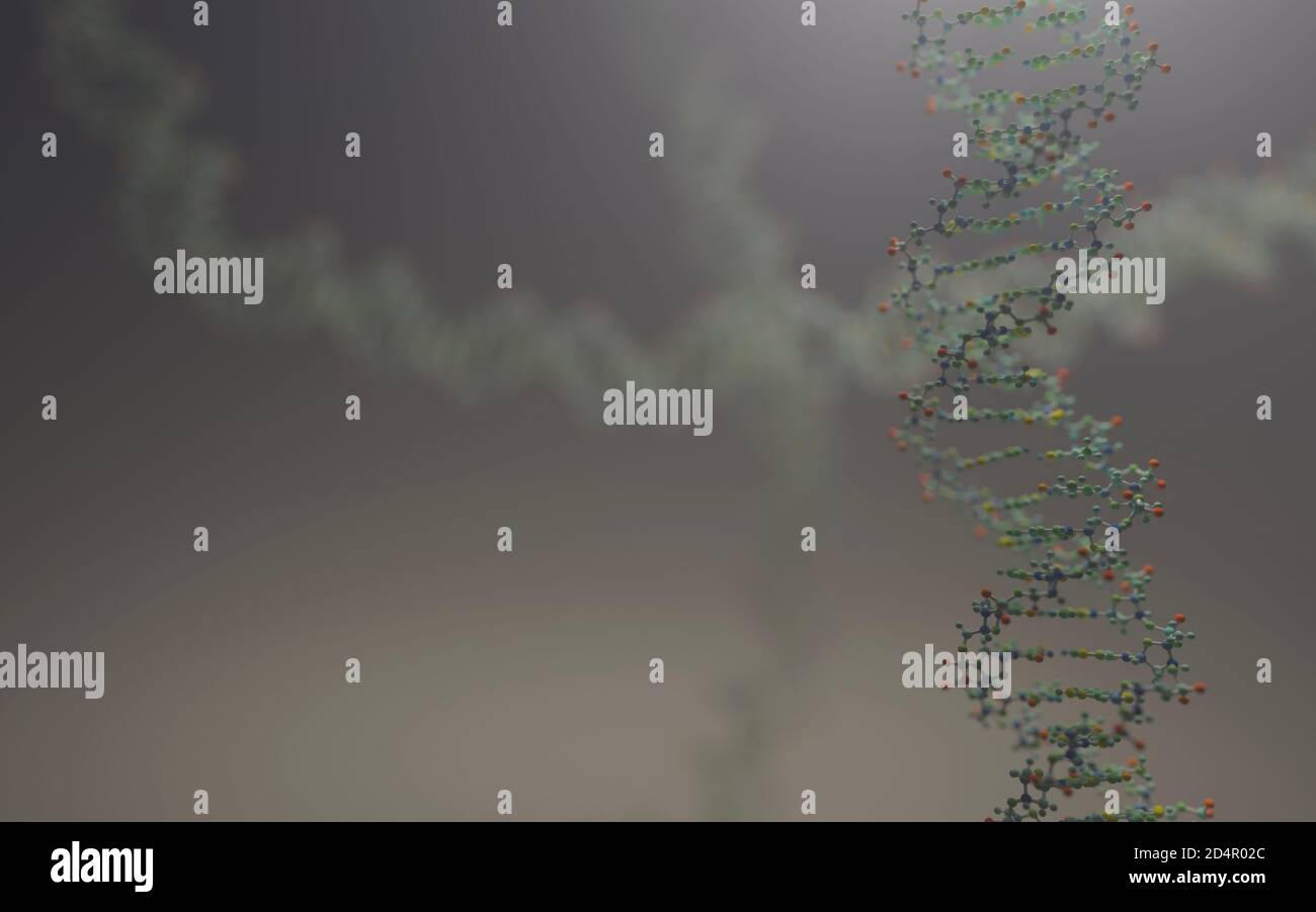 Strings of DNA . Scientifically correct ball-and-stick representation ...