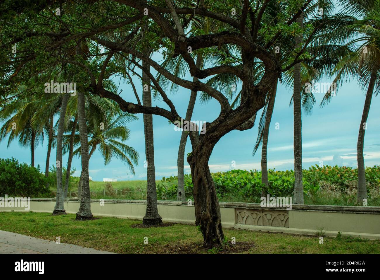 Strange scenery hi-res stock photography and images - Alamy