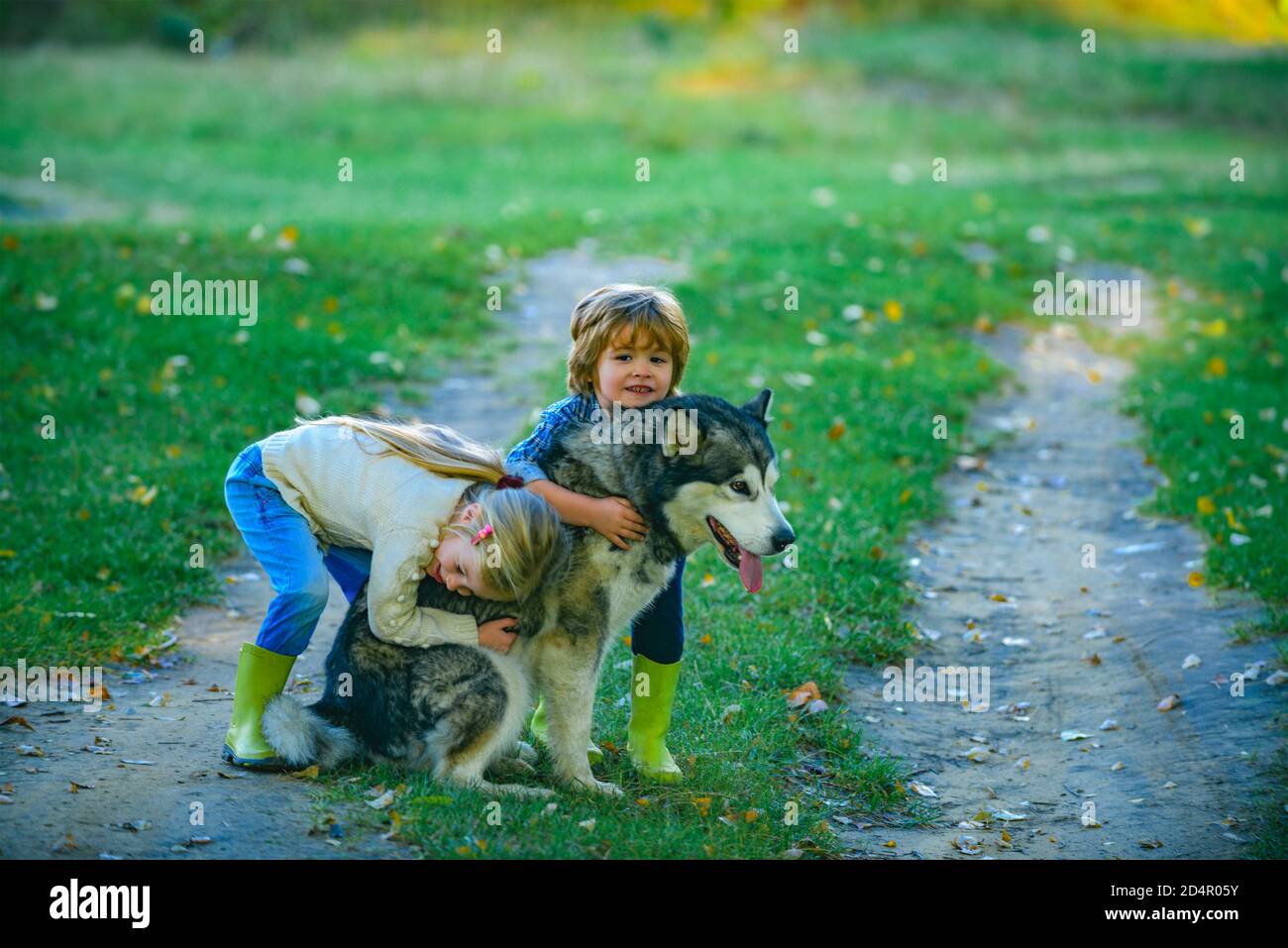 Happy childhood. Kids having fun dog pet in field against nature ...