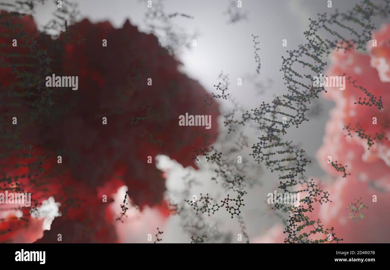 The world inside of a human cell. Strings of DNA, nucleotides (forming ...