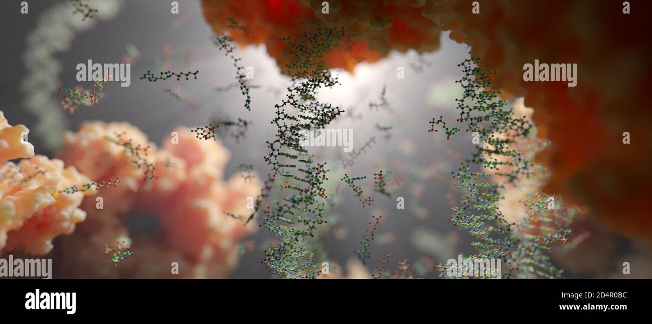 The world inside of a human cell. Strings of DNA, nucleotides (forming ...