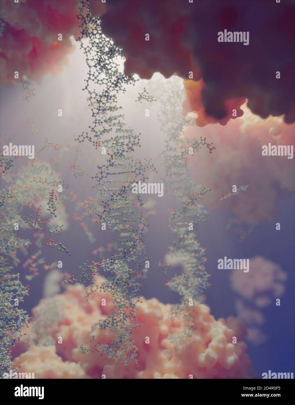 The world inside of a human cell. Strings of DNA, nucleotides (forming ...