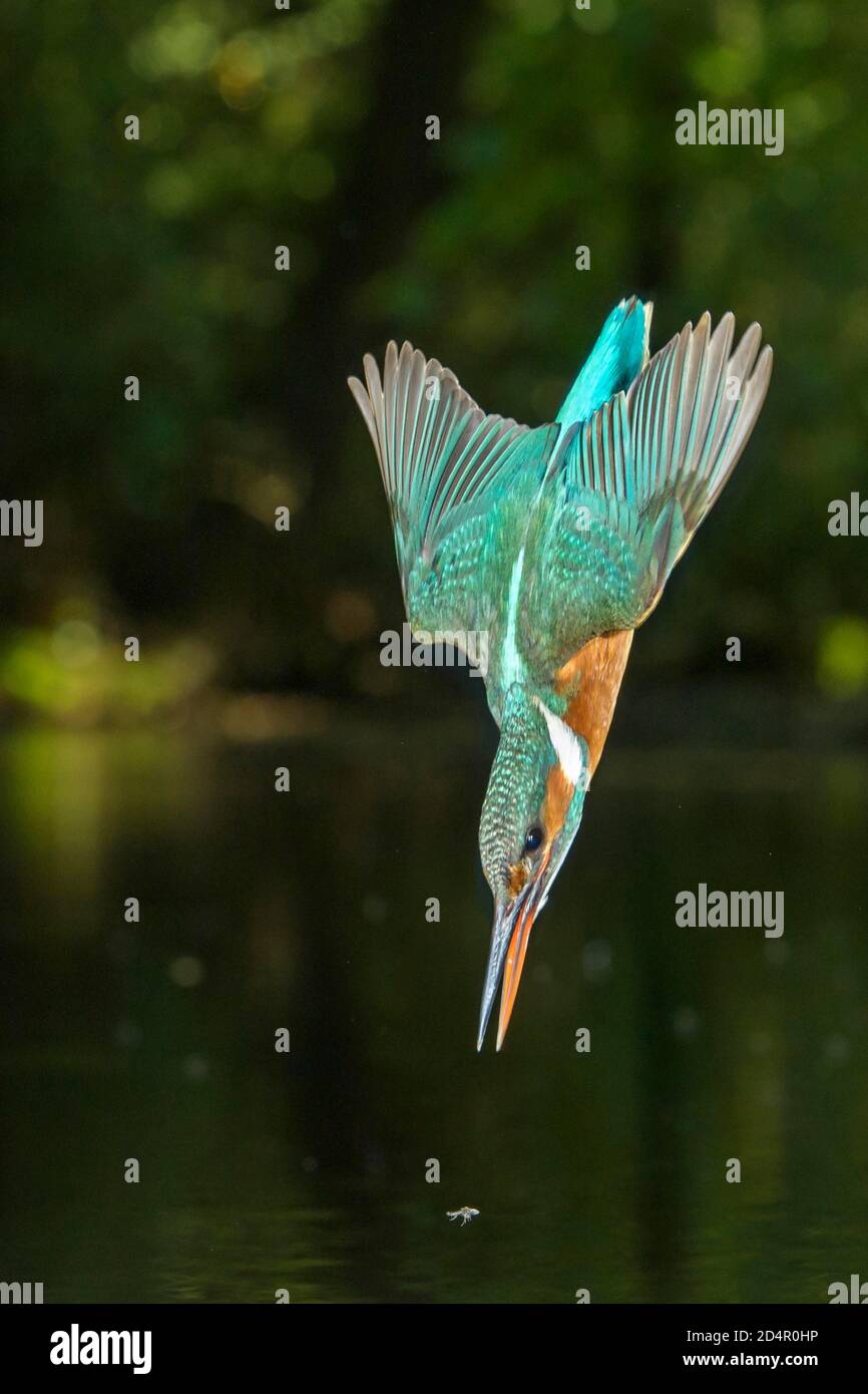 Spoils the environment hi-res stock photography and images - Alamy