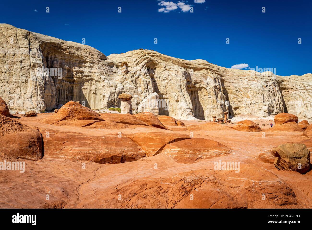The Toadstool Trail leads to an area of hoodoos and balanced rock ...