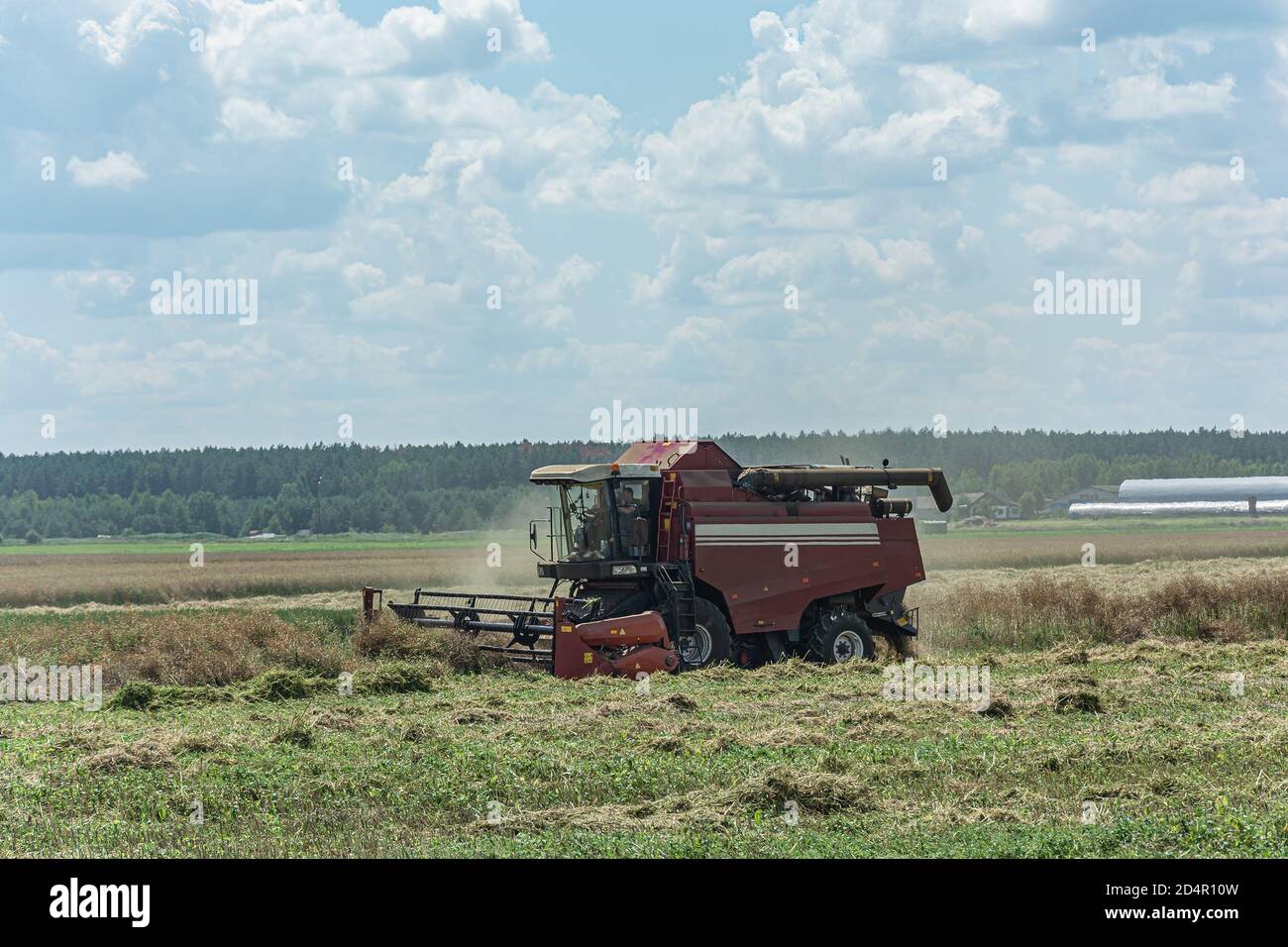 Gomel, Belarus - 07/12/2018: combine harvester in the field harvests ...