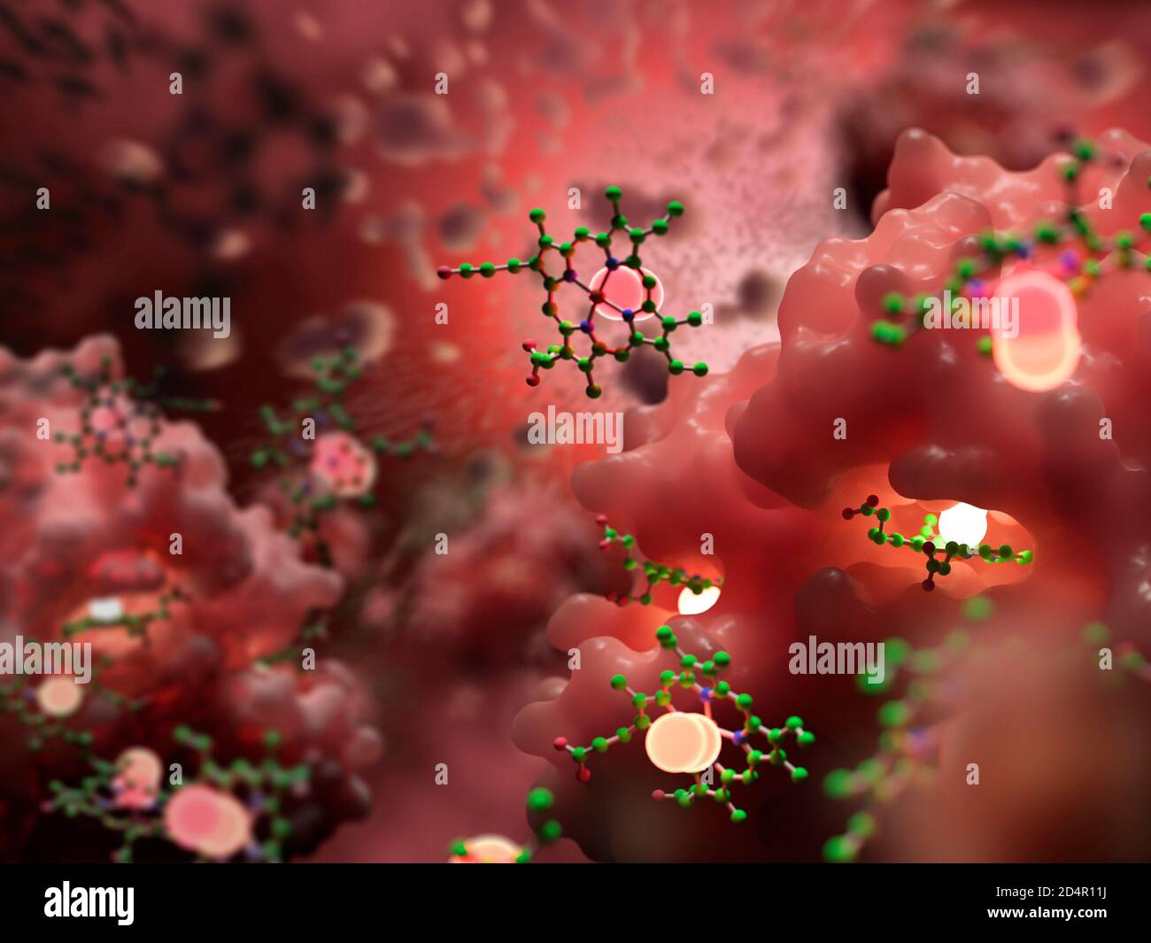 Hemoglobin (Hb or Hgb), is the iron-containing oxygen-transport ...