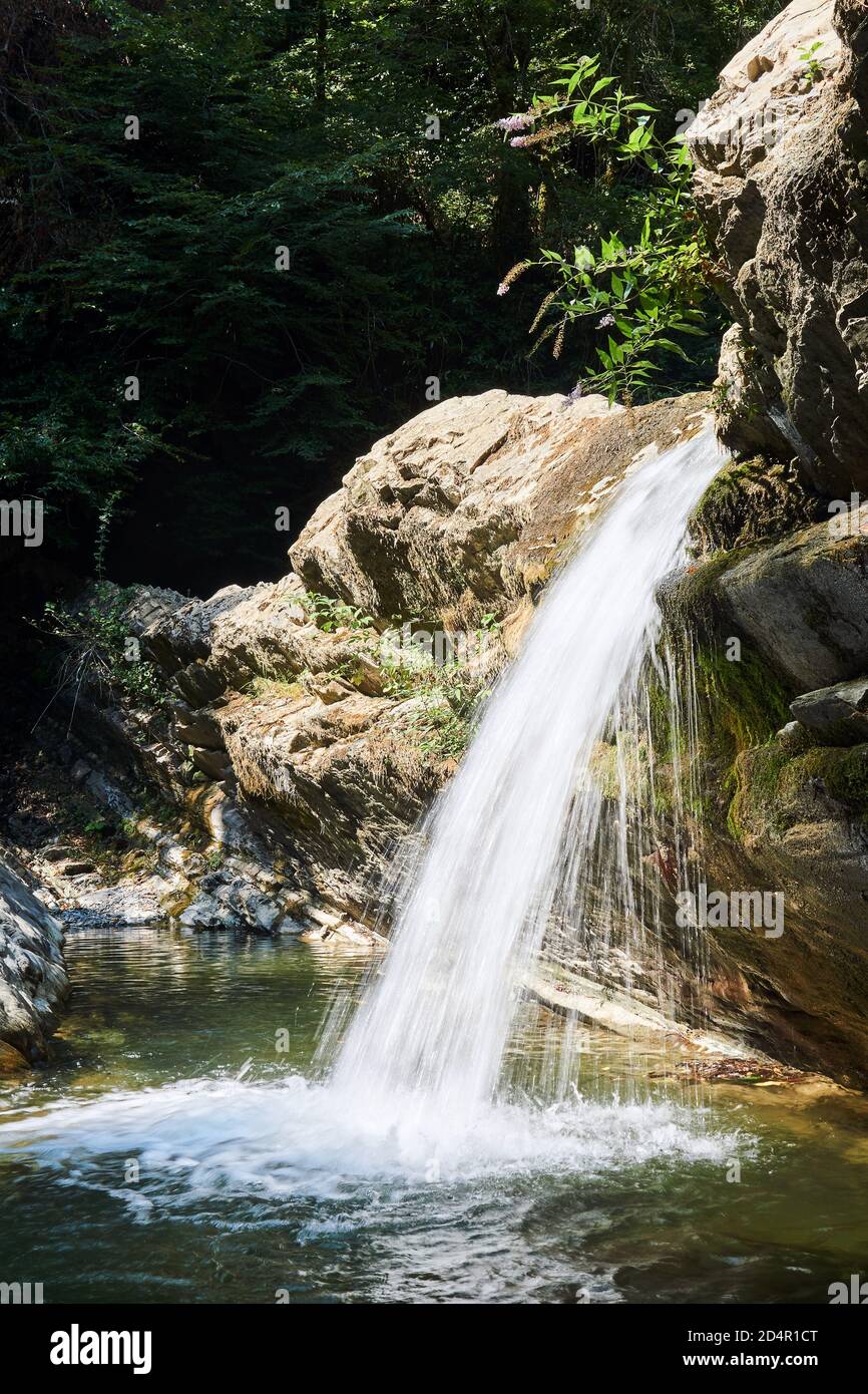 small clean waterfall falls from a rocky ledge in a wooded mountain ...