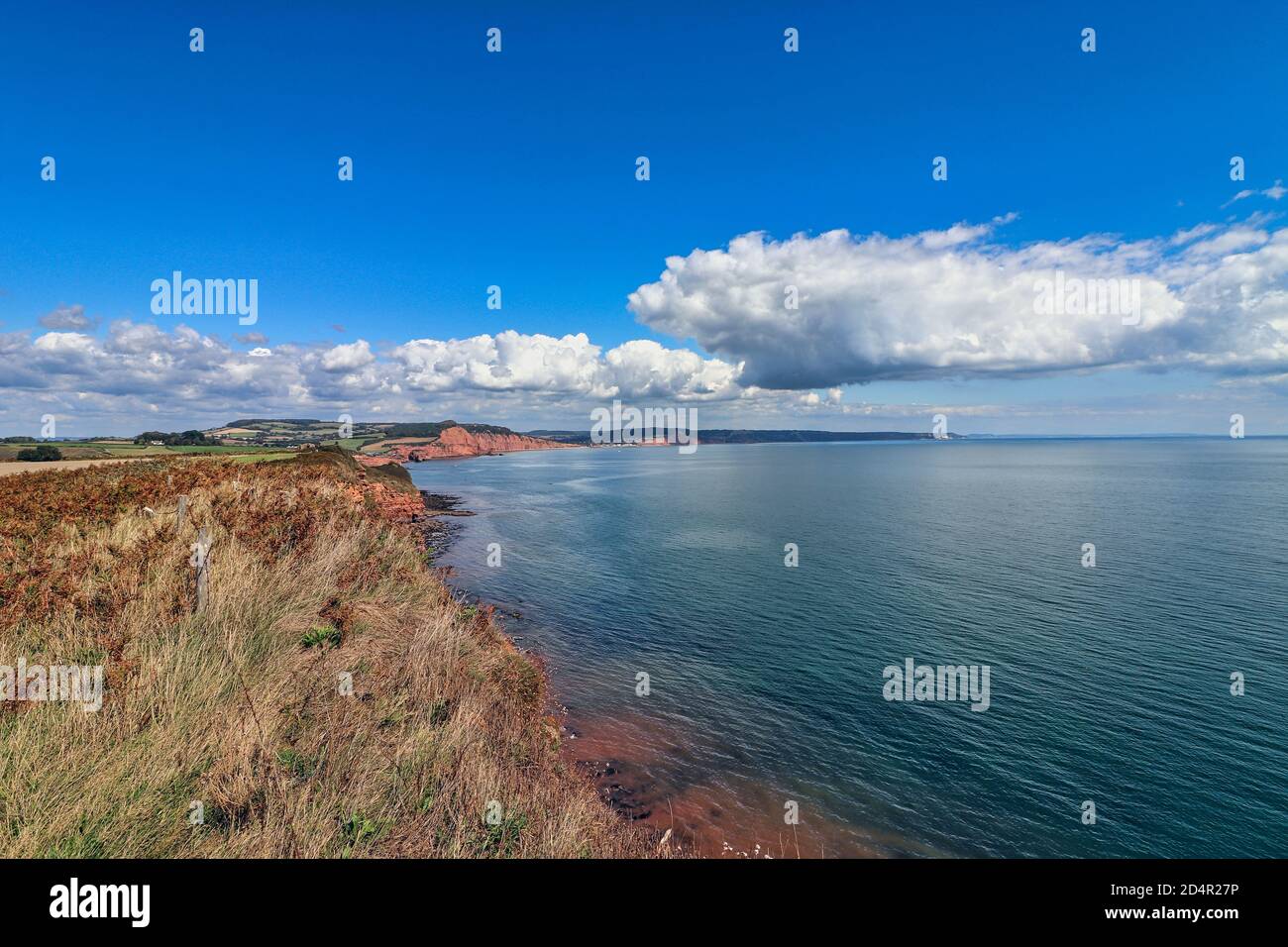 Cliffs at Ladram Bay in Devon Stock Photo - Alamy