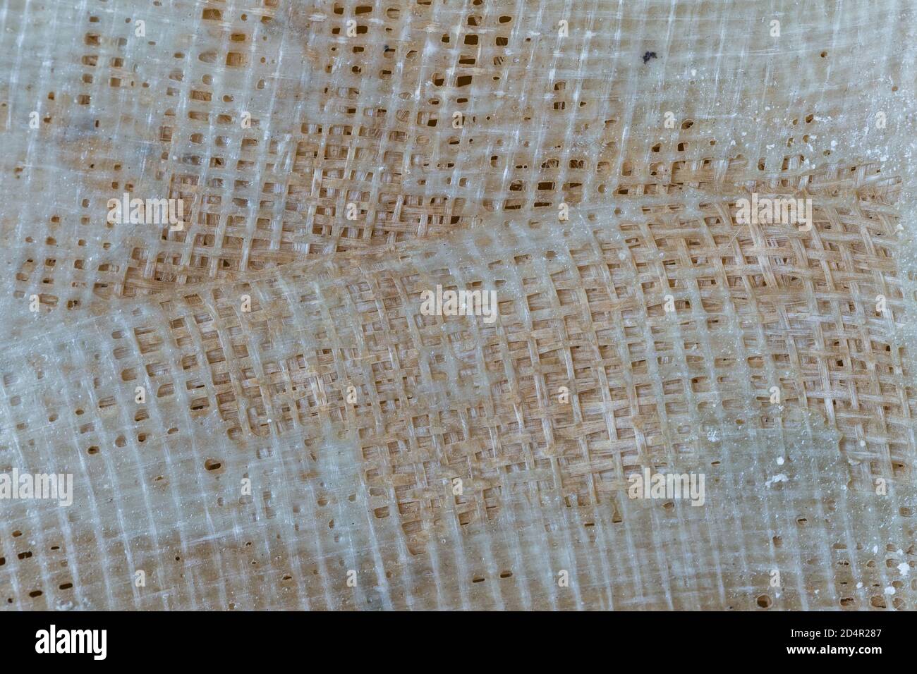 Closeup of a white plastic grunge texture Stock Photo - Alamy