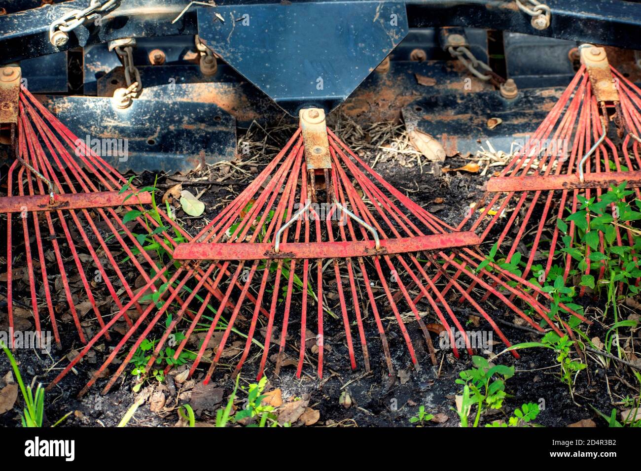 Rake clean hi-res stock photography and images - Alamy