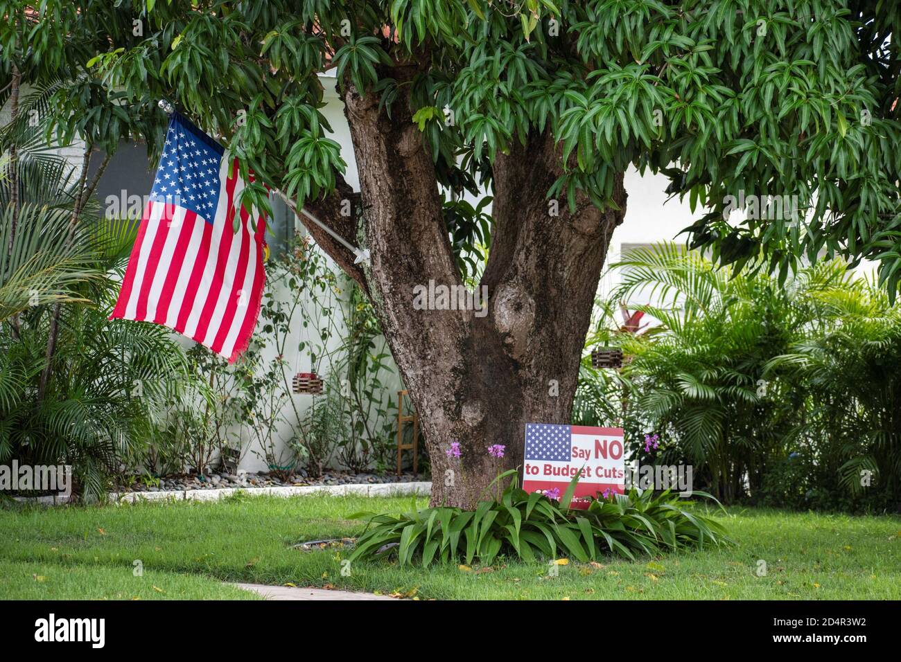American flag hanging from tree hi-res stock photography and images - Alamy