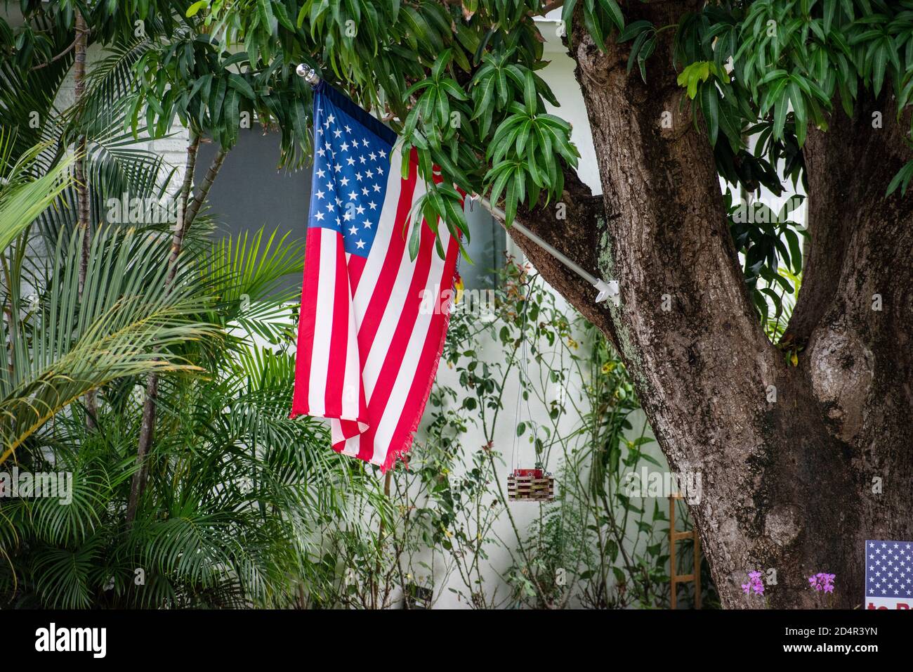 an american flag outside hanging from a tree Stock Photo - Alamy